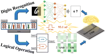Low-power and high-speed HfLaO-based FE-TFTs for artificial synapse and ...
