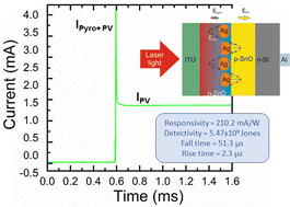 High-performance and self-powered visible light photodetector using ...