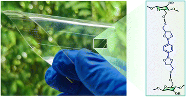 Flexible, transparent, and sustainable cellulose-based films for ...