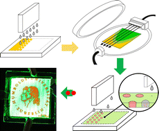 Bicolour, large area, inkjet-printed metal halide perovskite light ...