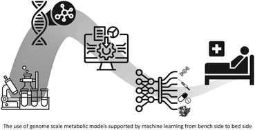 Genome-scale metabolic models in translational medicine: the current ...