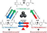 Exploring polymorphism, stoichiometric diversity and simultaneous ...