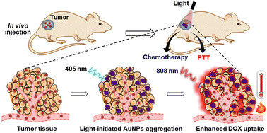 Light-initiated aggregation of gold nanoparticles for synergistic chemo ...