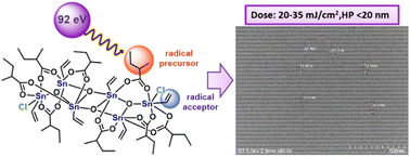 Novel hexameric tin carboxylate clusters as efficient negative-tone EUV ...