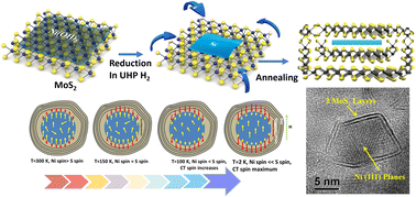 Interfacial negative magnetization in Ni encapsulated layer-tunable ...