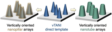 A new and versatile template towards vertically oriented nanopillars ...