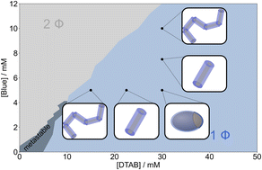 SANS contrast matching for the unambiguous localization of anionic dye ...
