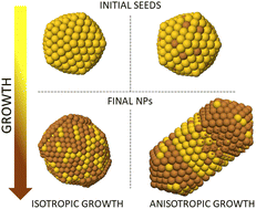 Growth pathways of Cu shells on Au and AuCu seeds: interdiffusion ...