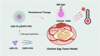 Aza-BODIPY-based polymeric nanoparticles for photothermal cancer ...