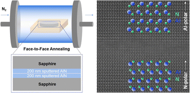 The AlN lattice-polarity inversion in a high-temperature-annealed c ...
