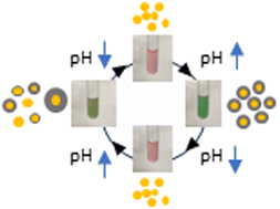 Gold–copper oxide core–shell plasmonic nanoparticles: the effect of pH ...