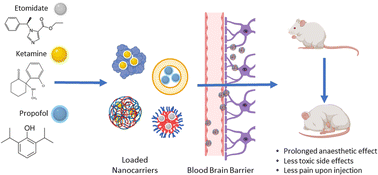 Nanoencapsulation of general anaesthetics - Nanoscale Advances (RSC ...