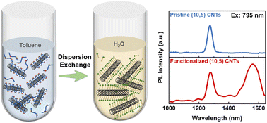 Polymer removal and dispersion exchange of (10,5) chiral carbon ...