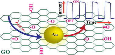 Role of oxygen functional groups and attachment of Au nanoparticles on ...