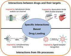 Specific interaction based drug loading strategies - Nanoscale Horizons ...