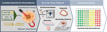 Advances in screening hyperthermic nanomedicines in 3D tumor models ...