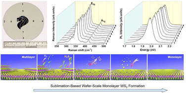 Sublimation-based wafer-scale monolayer WS2 formation via self-limited ...