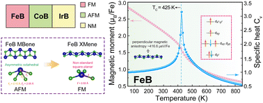 Enriching 2D transition metal borides via MB XMenes (M = Fe, Co, Ir ...
