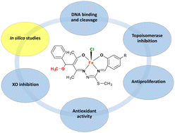 In vitro biological and in silico screening of novel iron(iii ...