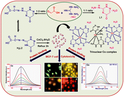 A trinuclear cobalt coordination complex constructed using novel ...