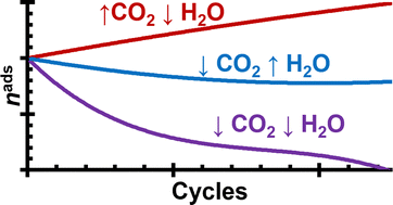The role of carbon dioxide and water in the degradation of zeolite 4A ...