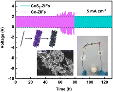 A leaf-like porous N-doped carbon structure embedded with CoS2 ...
