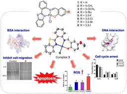 Novel Pd(ii) pincer complexes bearing salicylaldimine-based benzothiazole derivatives: synthesis ...