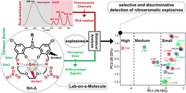Using a dual-emission Sm(iii)-macrocycle as the perceptive lab-on-a ...