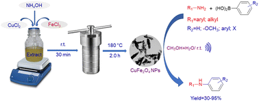 Green synthesis of shape-tunable CuFe2O4 NPs: a magnetically ...