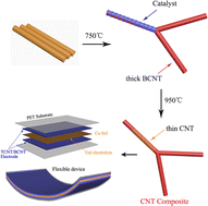 Thin carbon nanotube coiled around thick branched carbon nanotube ...