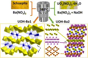 Investigation of uranium oxide hydrates with barium(ii) ions ...