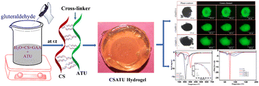 Generation of multicellular tumor spheroids via 3D cell culture ...