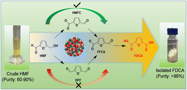 Industry-oriented method for the aqueous phase oxidation of crude 5 ...