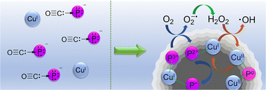 Copper phosphide–phosphorus (Cu3P/P) hybrid nanomaterials: an in situ ...