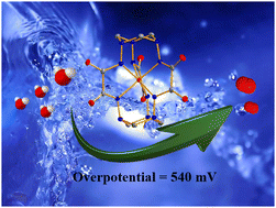 Electrochemical water oxidation using a stable water-soluble ...