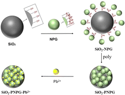 One-pot synthesis of polymer SiO2-PNPG electrodes as a transducer for ...