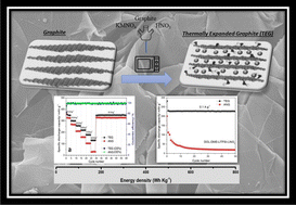 Thermally expanded graphite: a promising anode electrode in the current ...