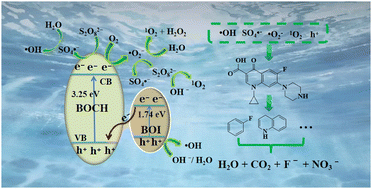 Visible-light persulfate activation by a BiOI/BiOCOOH composite ...