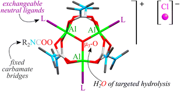 Syntheses and ligand exchange experiments of N,N-dialkylcarbamate ...
