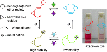 Photoinduced hydrogen-bonded self-assembly of cation-capped complexes ...