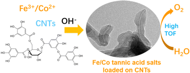 Amorphous Fe/Co-based tannic acid salts as robust oxygen evolution pre ...