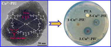 In situ copper-ion catalyzed synthesis of copper containing poly ...