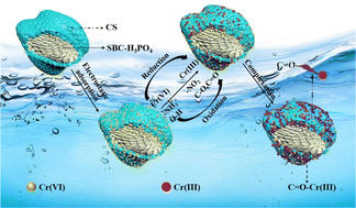 A novel sludge-based biochar composite adsorbent CS/SBC-H3PO4 for ...