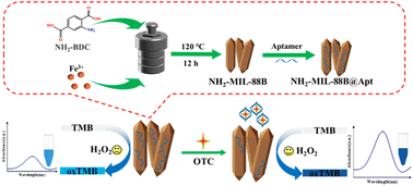 A colorimetric aptasensor based on NH2-MIL-88B for highly selective ...
