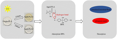 Adsorption/desorption behavior of degradable polylactic acid ...