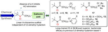 New cationic linear N-chloramines based on N-t-butylamide: chemical ...