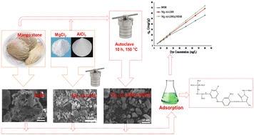Mangifera indica stone-assisted layered double hydroxide biocomposites ...