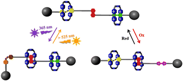 A light- and redox-switchable tristable [3]rotaxane with orthogonal ...