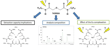 Radiolytic stability and effects on metal extraction of N,N,N ...
