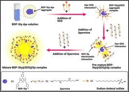 A simplified and cost-effective detection of cancer bio-markers using ...